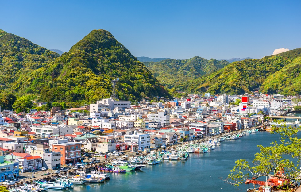 The Opening Of Japan Ports