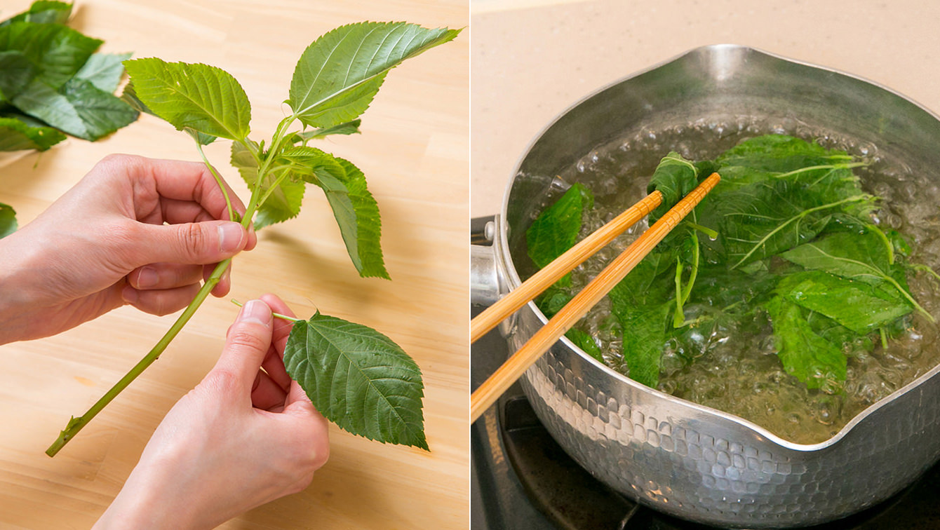 モロヘイヤの茎に毒がある？安全な食べ方や症状の対処法を解説 | お食事ウェブマガジン「グルメノート」