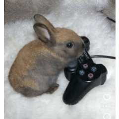 GRRNELE's Pencil for CSP v1 - CLIP STUDIO ASSETS