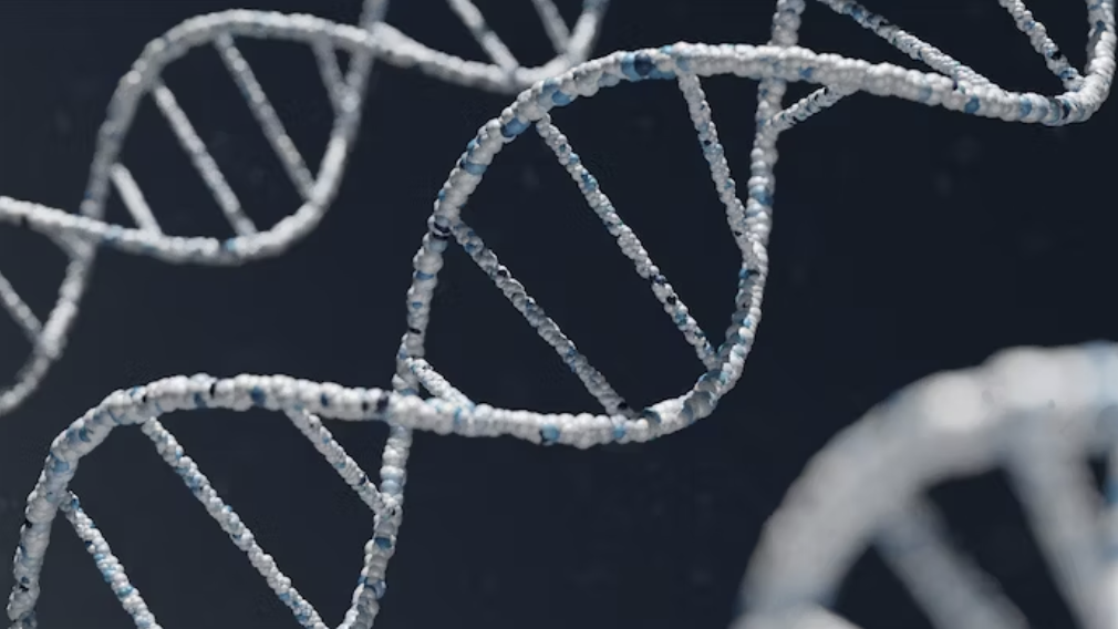 【水から生態系が読み取れる!?】コロナ対策にも使われる”環境DNA"とは | コメディア