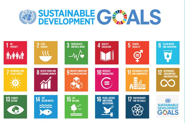SDGs～世界を変えるための17個の目標。世界の課題解決は新たなステージへ！ | コメディア