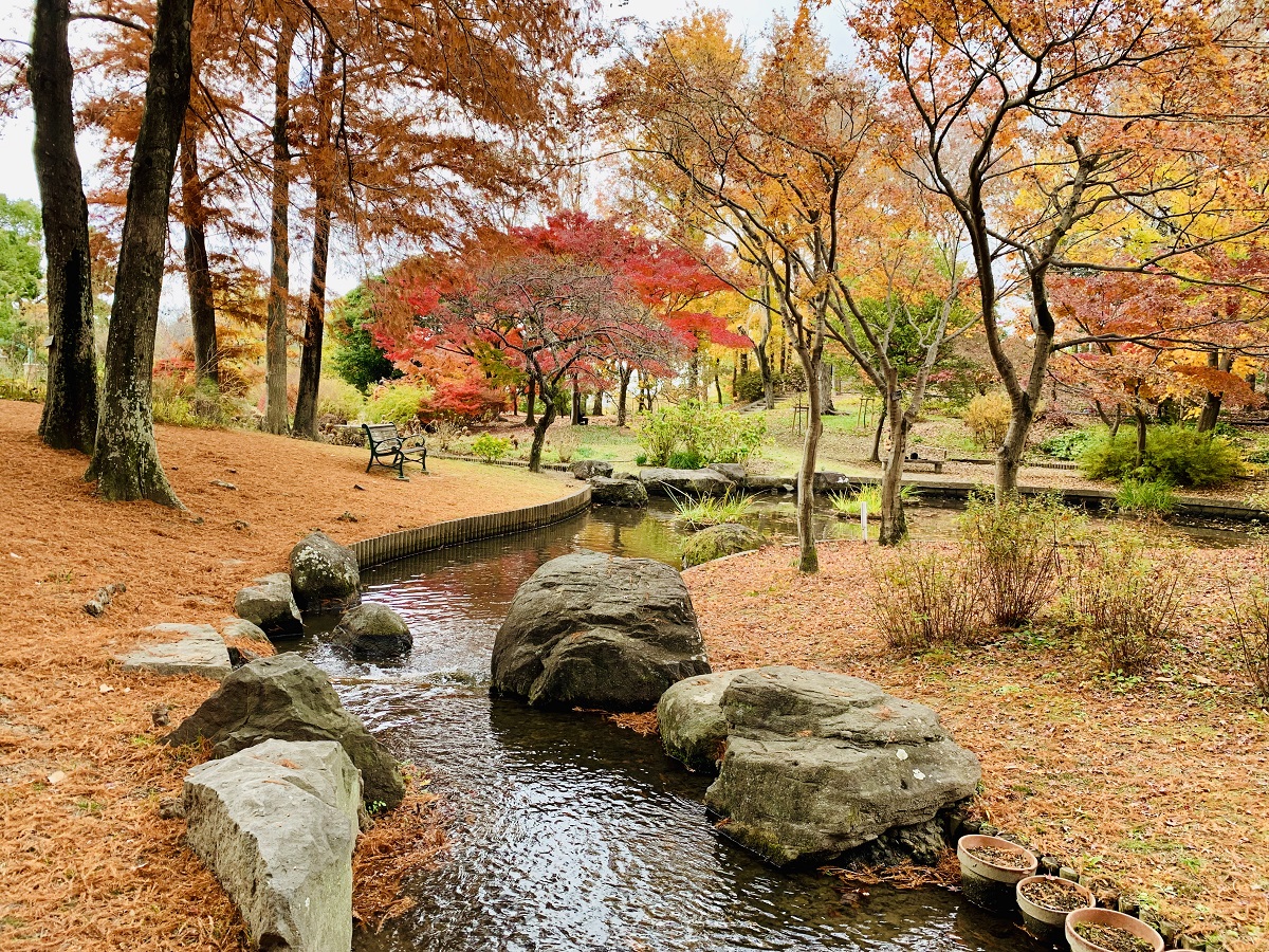 Hattori Ryokuchi Park | OSAKA-INFO