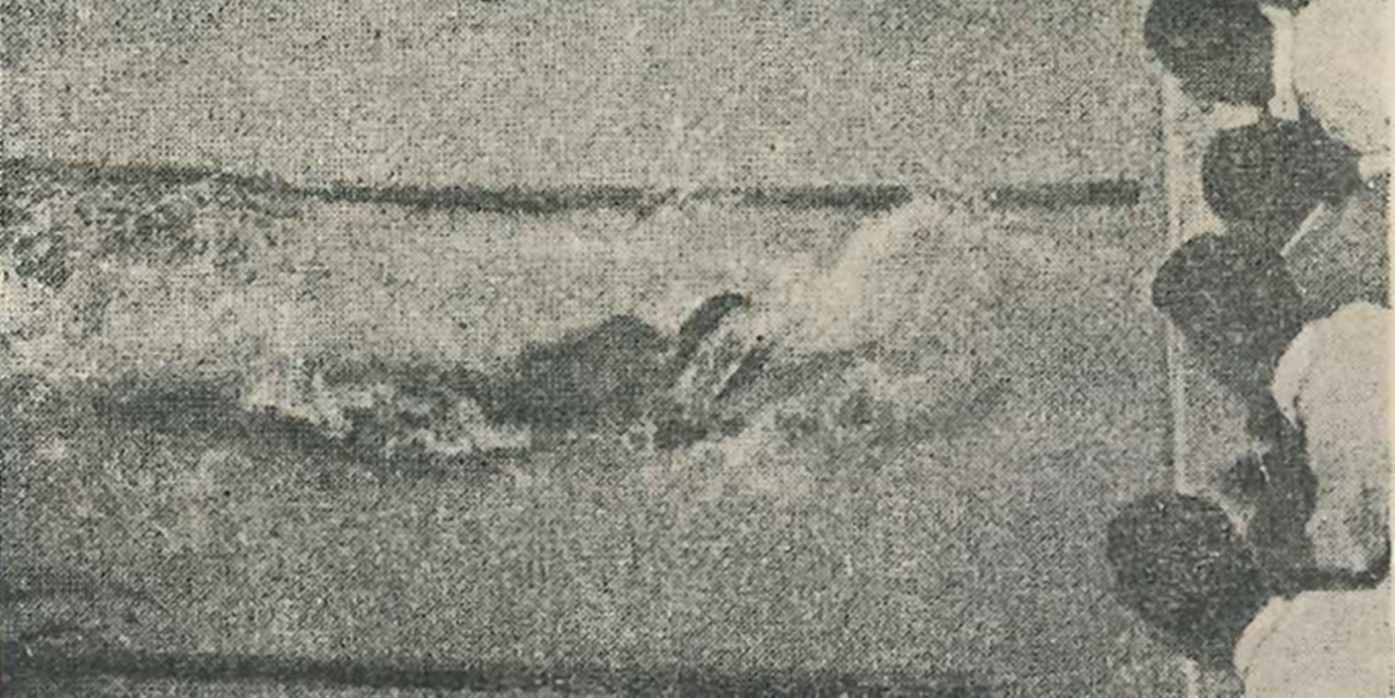1958 東京亞運會 – 水上運動 – 游泳 - 中華奧林匹克委員會