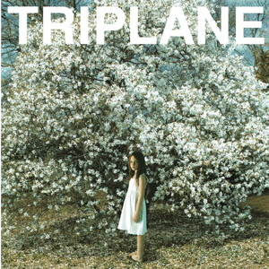 TRIPLANE Passengers | DISC