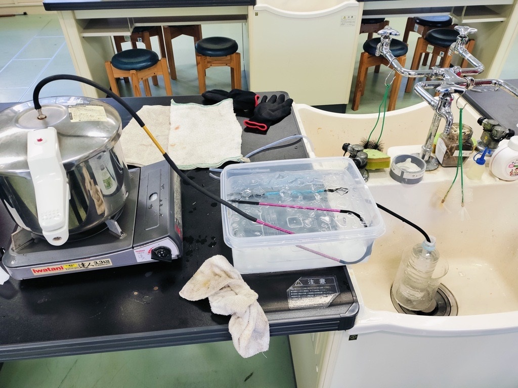 1年データサイエンス課題研究2024 | SSH/WWL Global Scienceコース | 滋賀県立 彦根東高等学校 | クラウドファンディング | 寄付 | Yellz