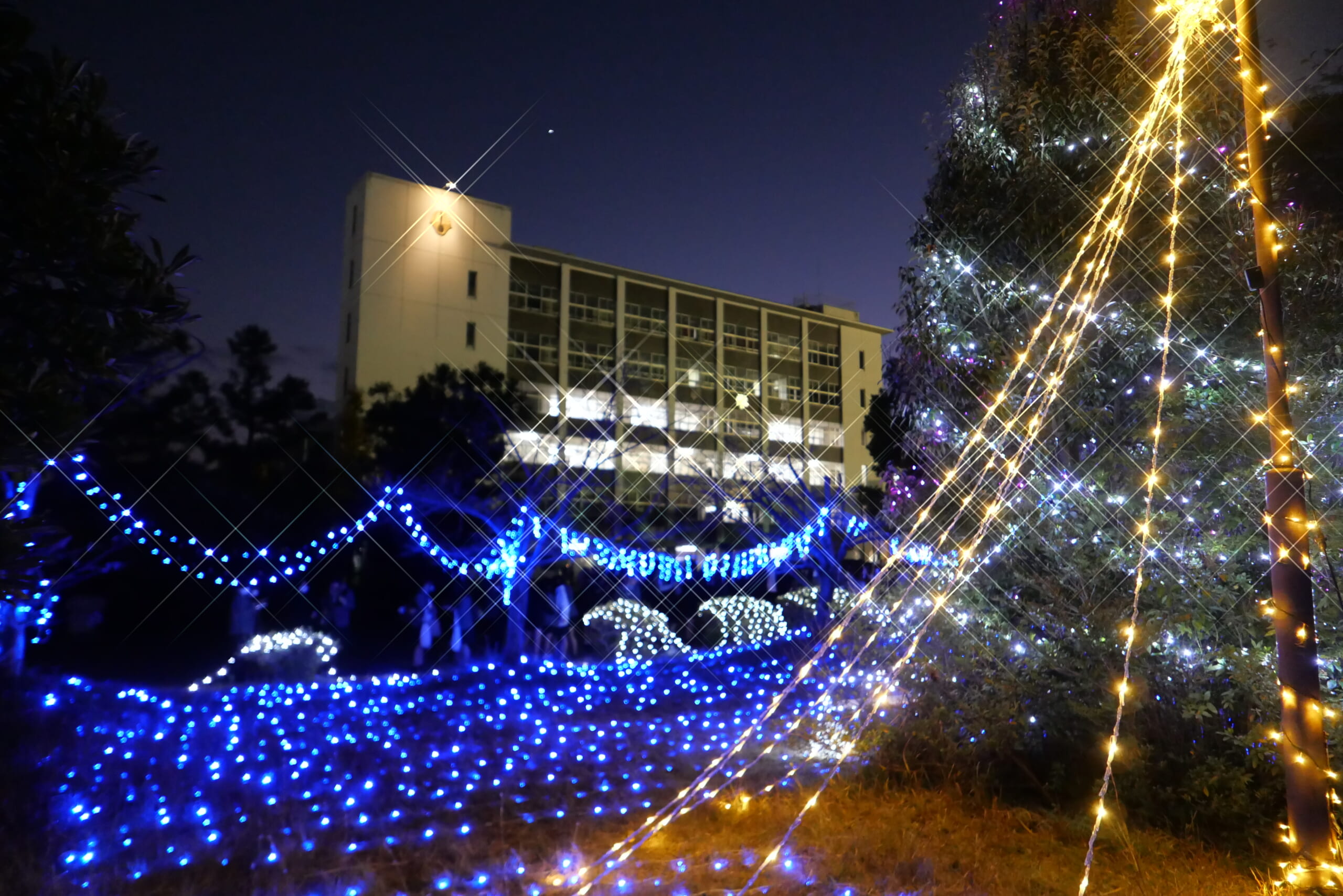 2024 イルミネーション 点灯 | 生徒会 | 柳川高等学校 | Yellz（エールズ）