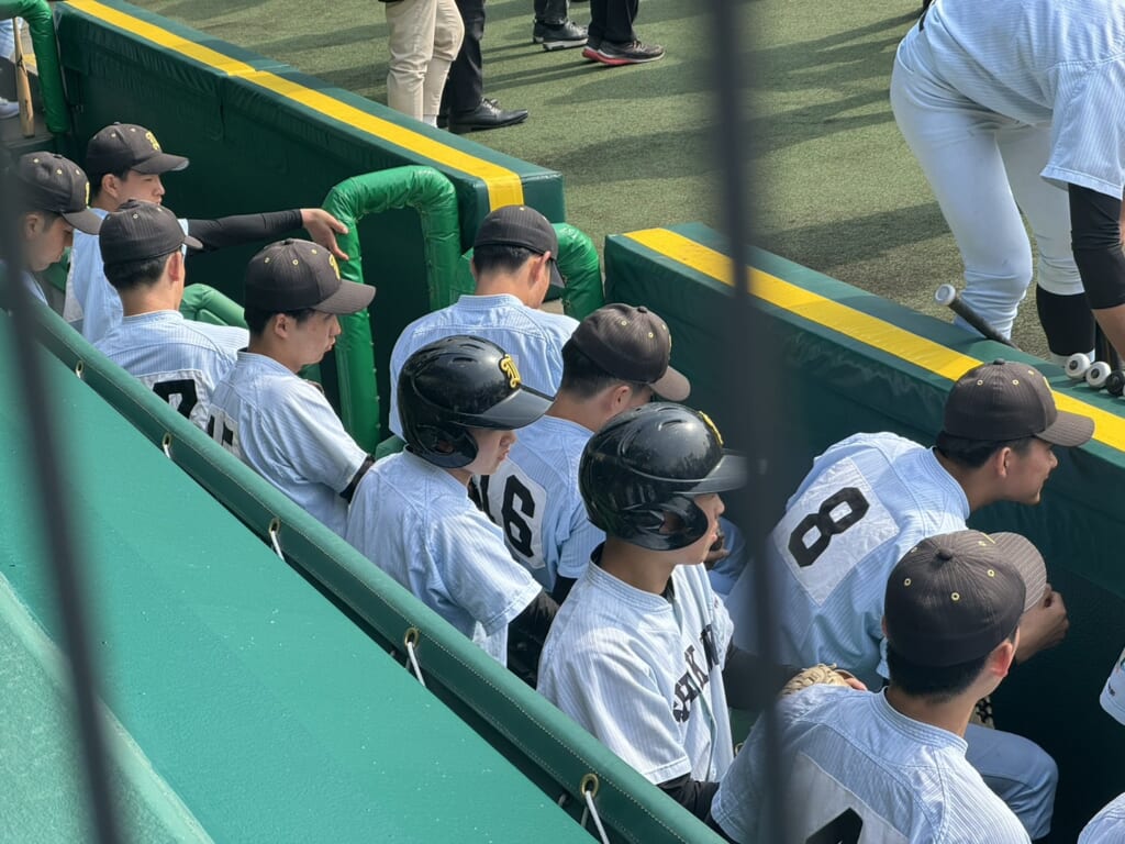 甲子園練習 | 野球部 | 学校法人石川高等学校 | Yellz（エールズ）