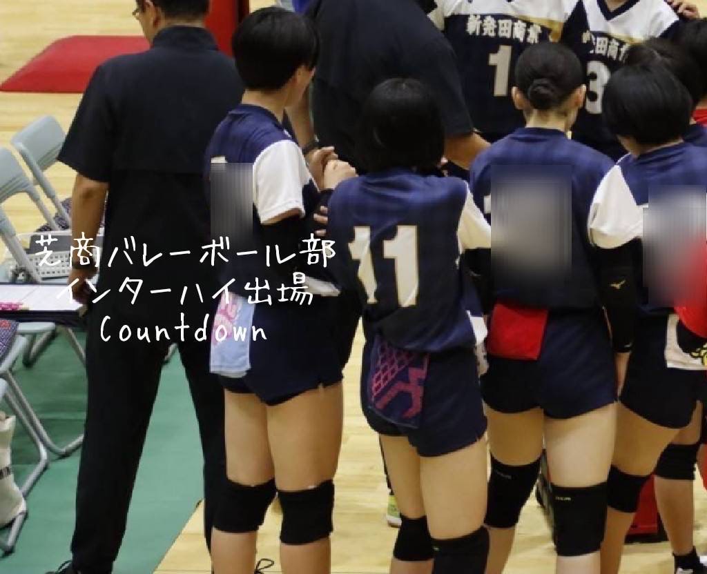 カウントダウン インターハイまで11日！ | 女子バレーボール部 | 新発田商業高等学校 | Yellz（エールズ）