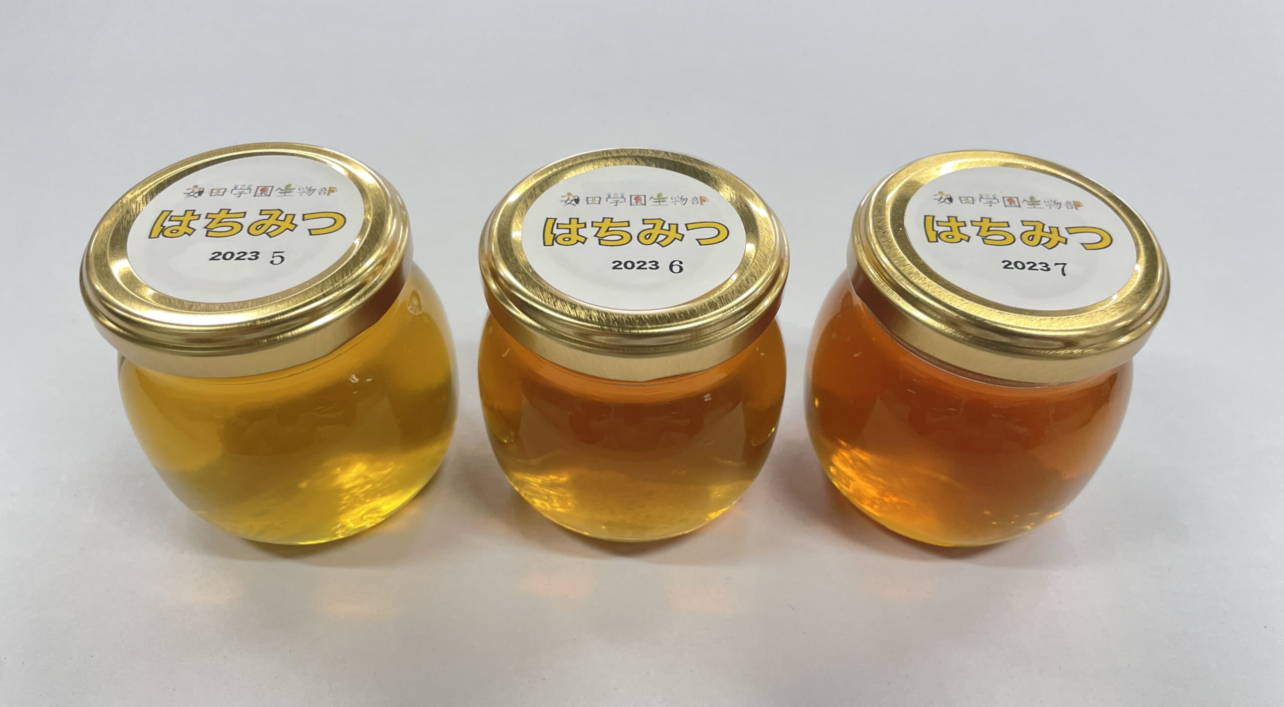 安田祭2023 蜂蜜を販売します！ | 生物クラブ | 安田学園中学校・高等学校 | Yellz（エールズ）