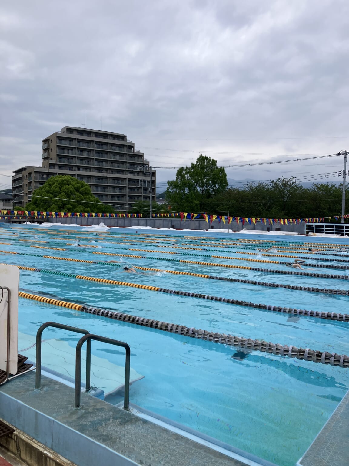 2024スタート | 高校-水泳部 | 日本大学三島高等学校・中学校 | Yellz（エールズ）