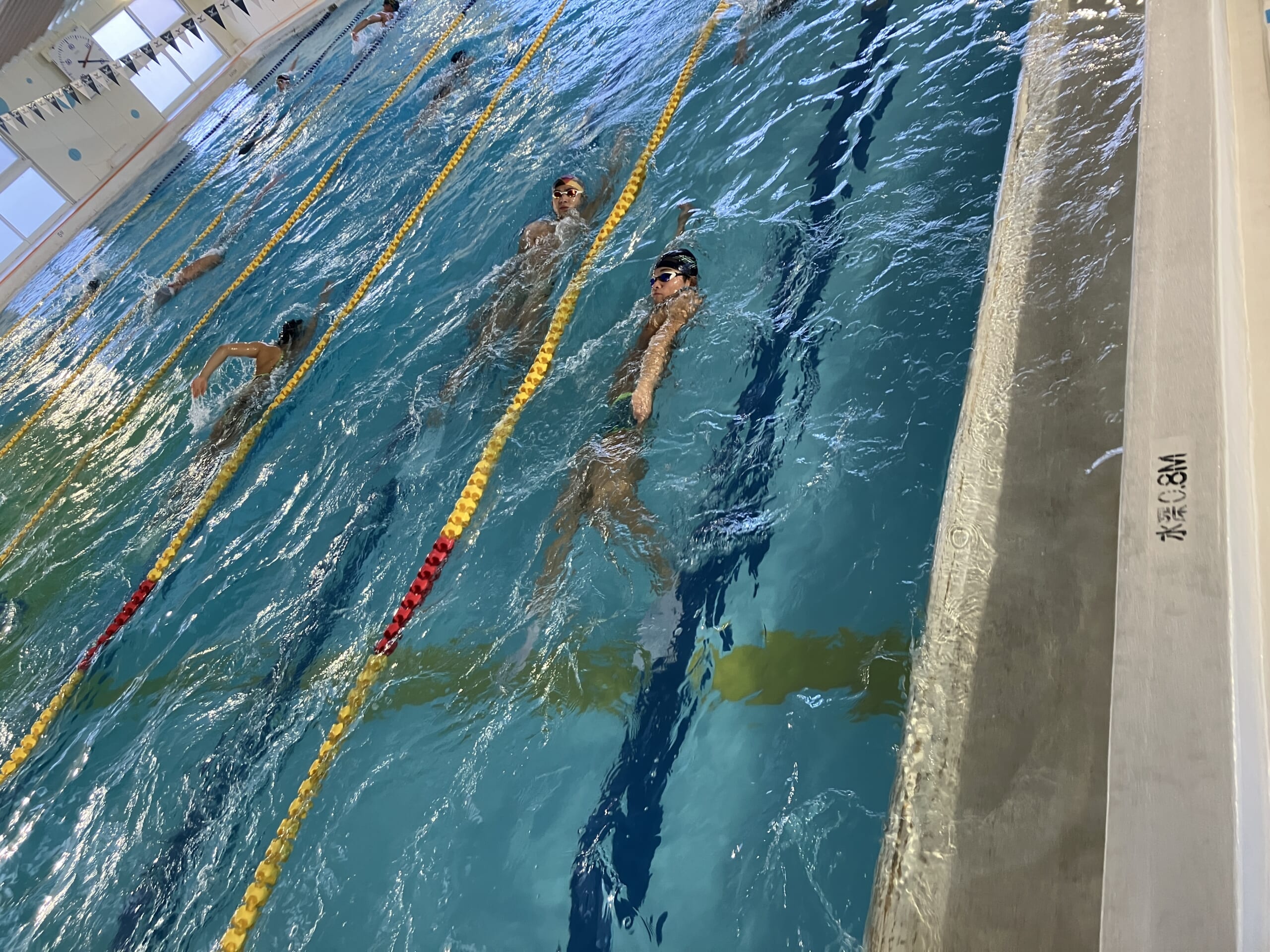 2025冬季合宿③ | 高校-水泳部 | 日本大学三島高等学校・中学校 | Yellz（エールズ）