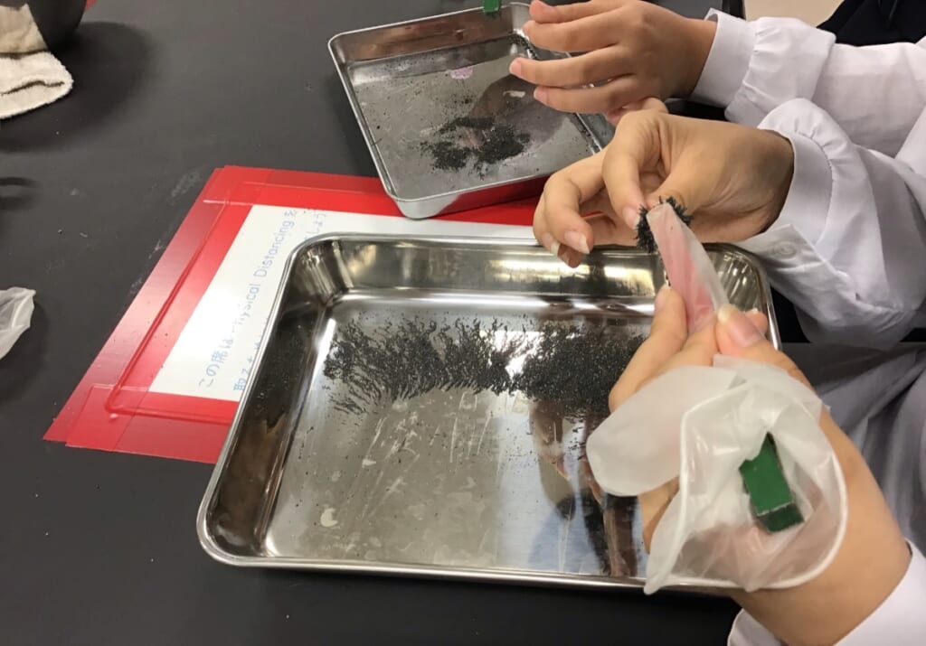 砂鉄集め | 科学部（中学校・高校） | 福岡雙葉中学校・高等学校 | Yellz（エールズ）