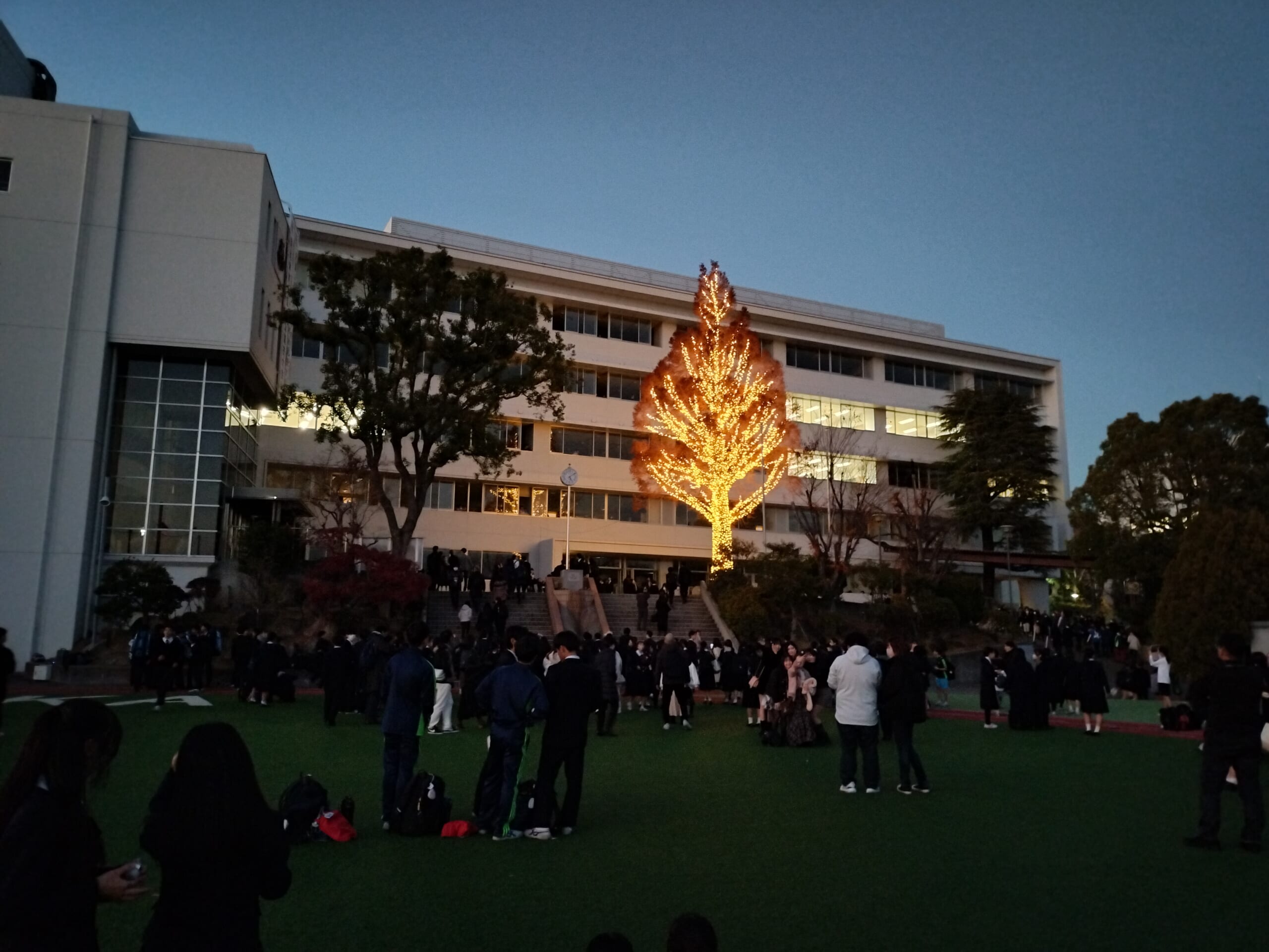 12/8（金）メタセコイア 点灯いたしました！ | 「メタセコイア ライトアップ」プロジェクト | 雲雀丘学園中学校・高等学校 | Yellz ...