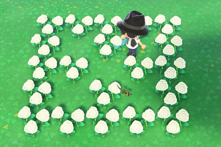 Animal Crossing | Flower Breeding Guide - How To Get Hybrid Flowers ...