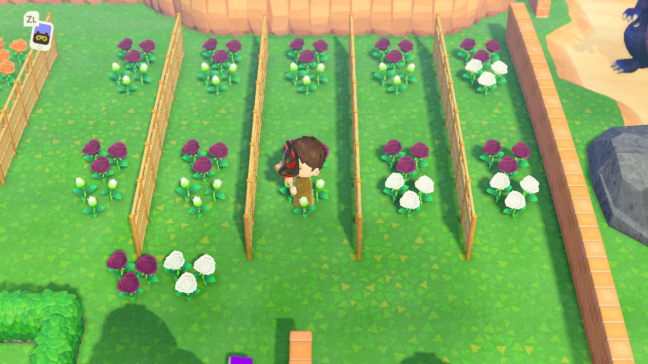 ACNH | Blue Roses - How to Get & Breed | Animal Crossing - GameWith