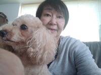 Homii Life - Rent a home in Japan