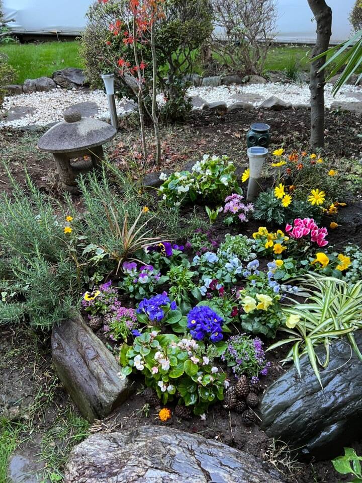 Homii Life - Rent a home in Japan