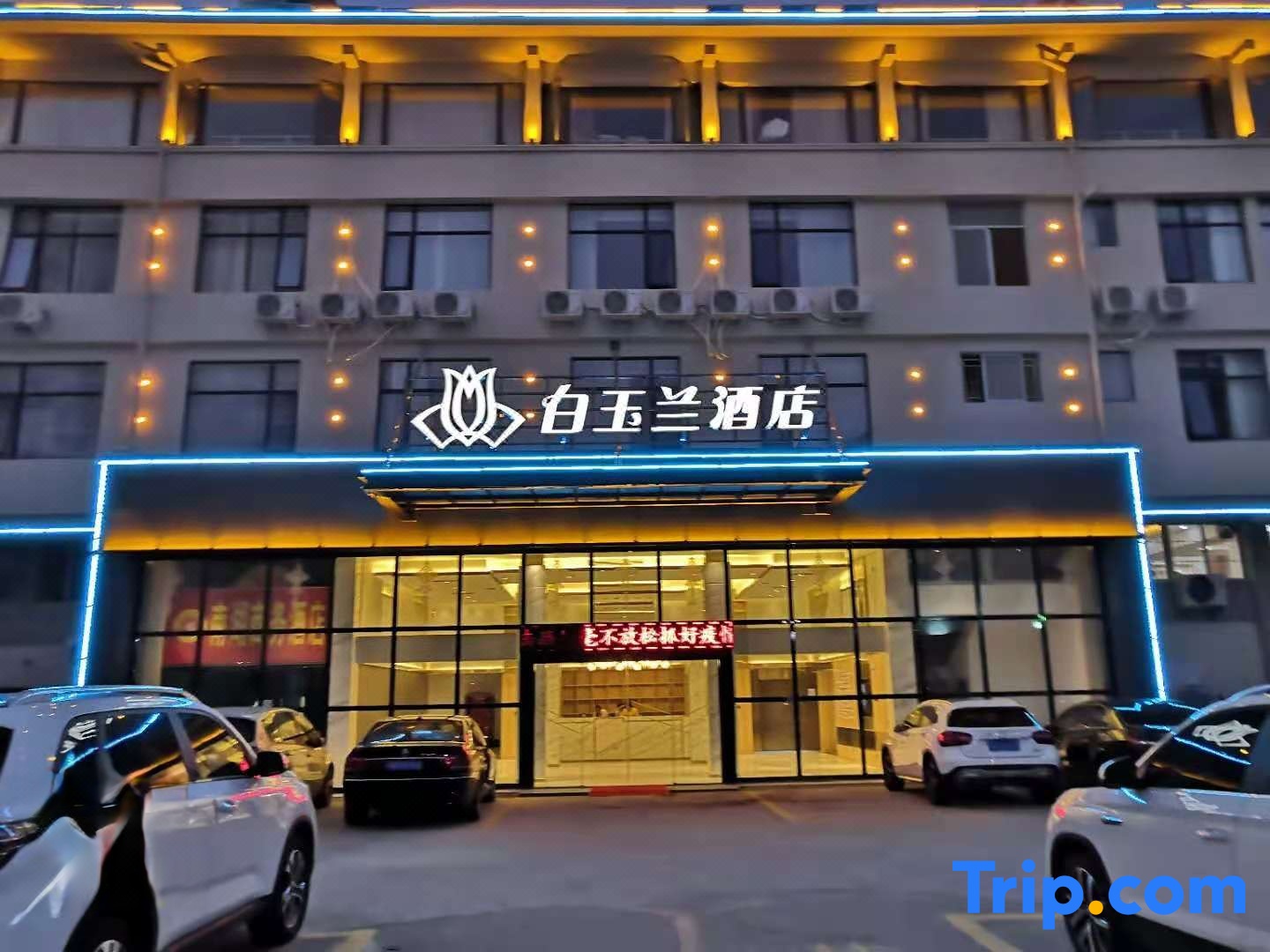 Baiyulan Hotel (Anxi Tea City Store)【 2026年最新の料金比較・口コミ・宿泊予約 】 - トラベルブック ...
