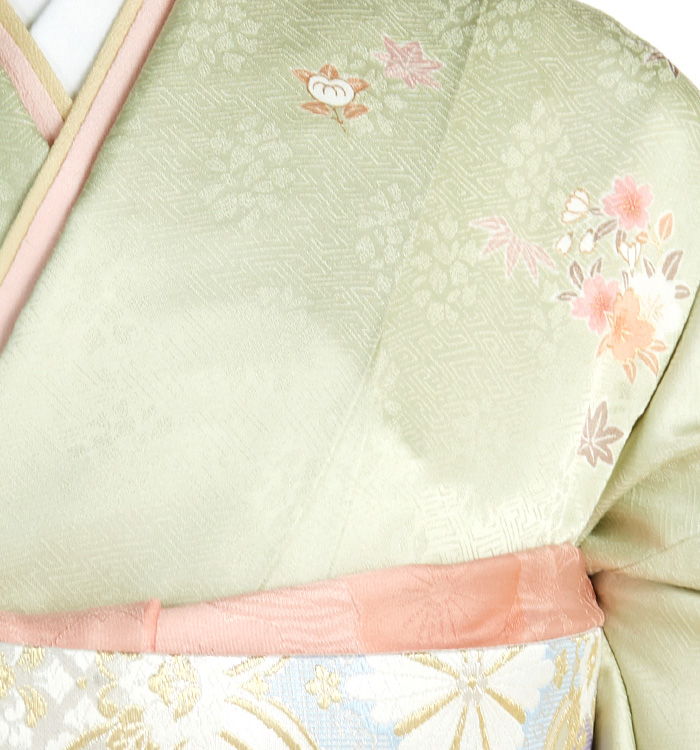 訪問着 No.AA-3766-Mサイズのレンタル｜きもの365