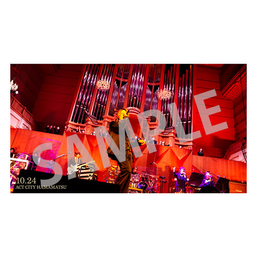 『UNITY ROOTS & FAMILY,AWAY Anthology』 | G-DIRECT