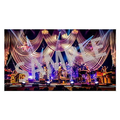 『UNITY ROOTS & FAMILY,AWAY Anthology』 | G-DIRECT