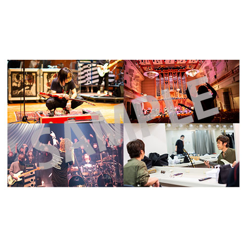 『UNITY ROOTS & FAMILY,AWAY Anthology』 | G-DIRECT