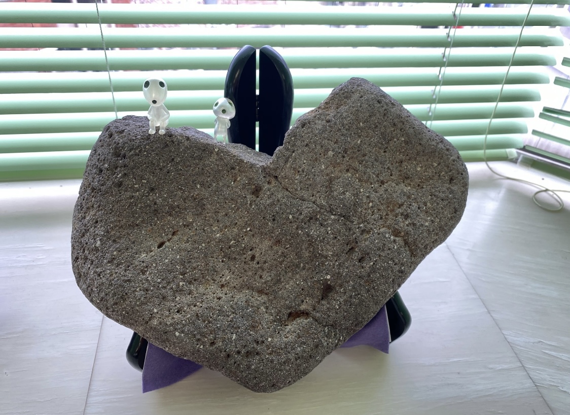 CLSS チョナライフサイエンススクール-トップページ