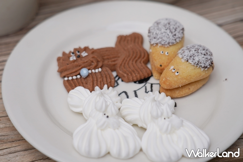 怎麼可以吃狗狗！釜山咖啡廳「Kitten Coffee」小狗蛋糕超級萌，還有刺蝟、貓咪造型手工餅乾。 | beanfun!