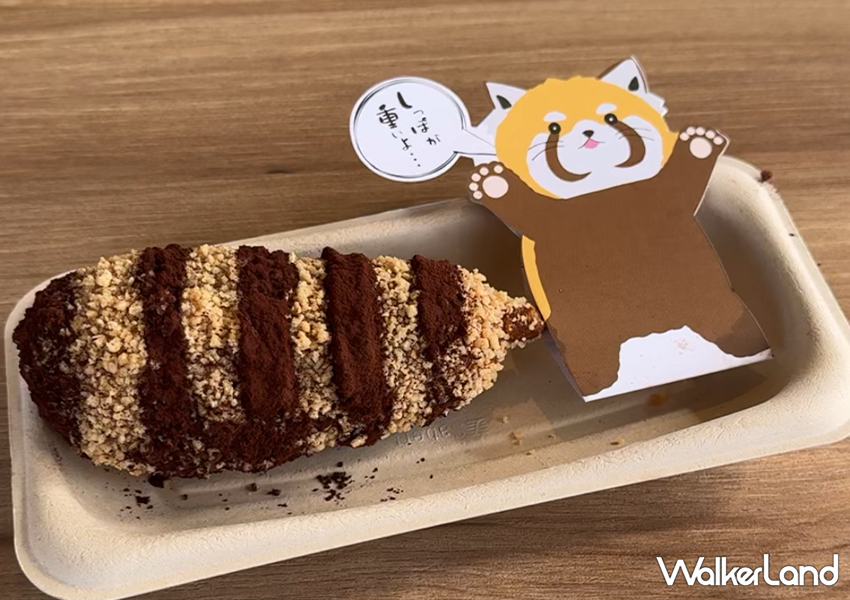 呆萌小熊貓超圈粉！日本名古屋「動物咖啡廳」排隊也要等到，來支「小熊貓尾巴熱狗」還能看到本尊。 | beanfun!