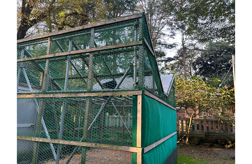 「高岡発ニッポン再興」その112 カラス対策と「坂本龍馬」構想 | "Japan In-depth"[ジャパン・インデプス]