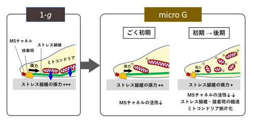 素材詳細｜検索結果一覧｜JAXAデジタルアーカイブス