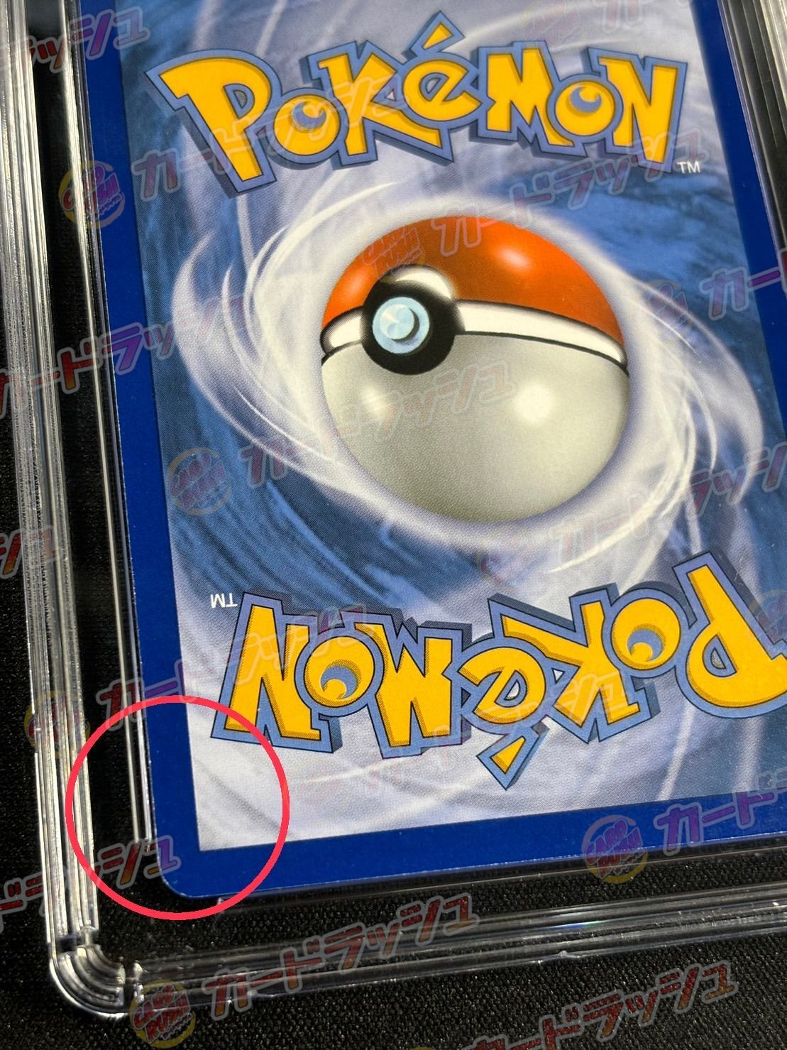 〔CGC10鑑定済〕No. 1 TRAINER(WCS2014)【P】{-}の通販 カードラッシュ magi店（874660064） | magi