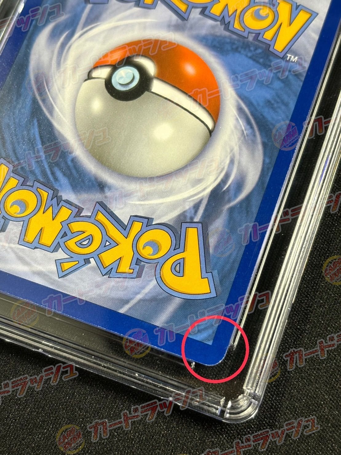 〔CGC10鑑定済〕No. 1 TRAINER(WCS2014)【P】{-}の通販 カードラッシュ magi店（874660064） | magi