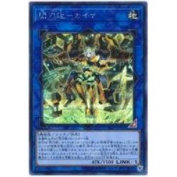 閃刀姫カイナ【シークレット】{SAST-JP055}《リンク》の通販 カードラッシュ magi店（1254492811） | magi