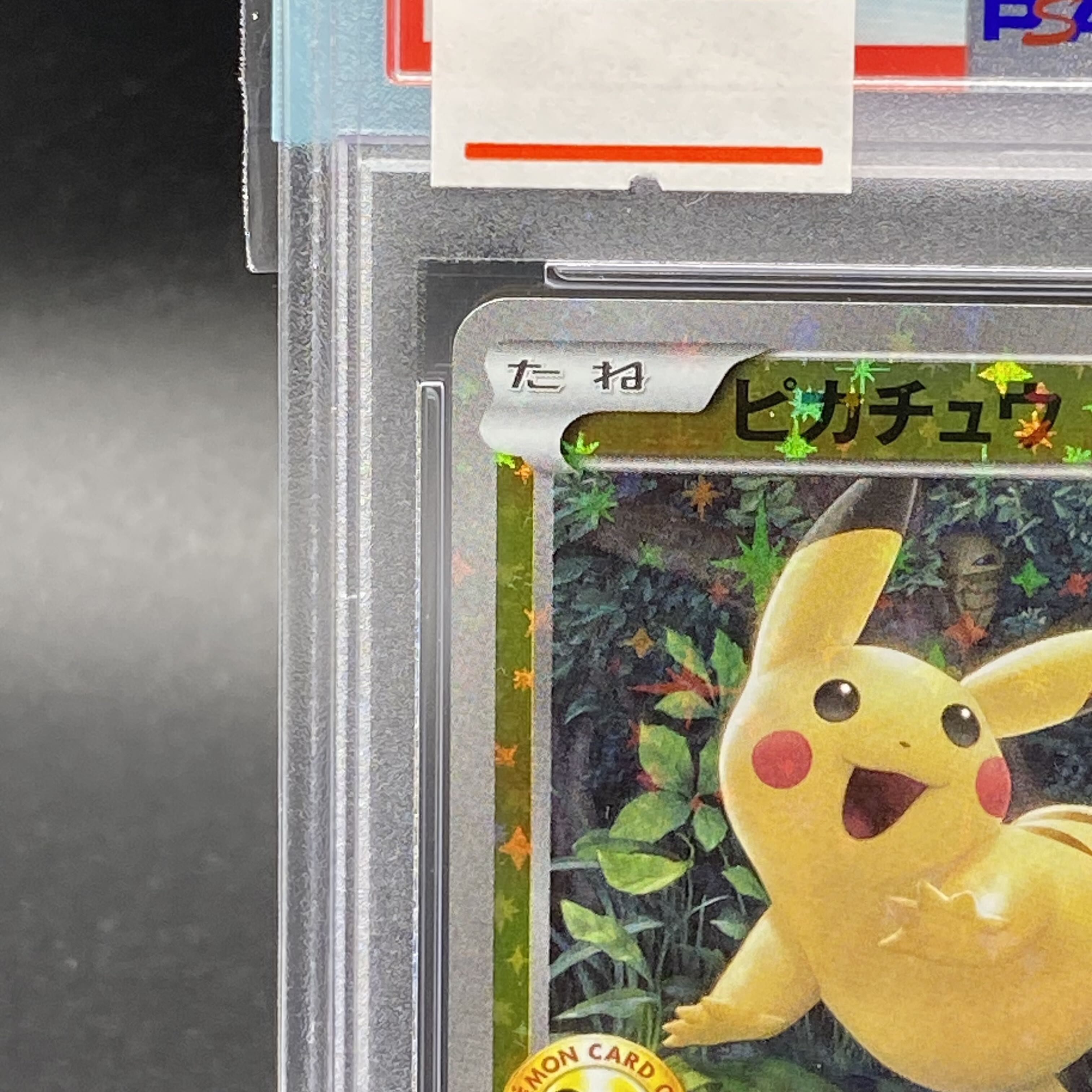 PSA10 ピカチュウ 20thアニバーサリー PROMO XY-Pの通販 土日祝休 magi公式(委託商品)（1288224454） | magi