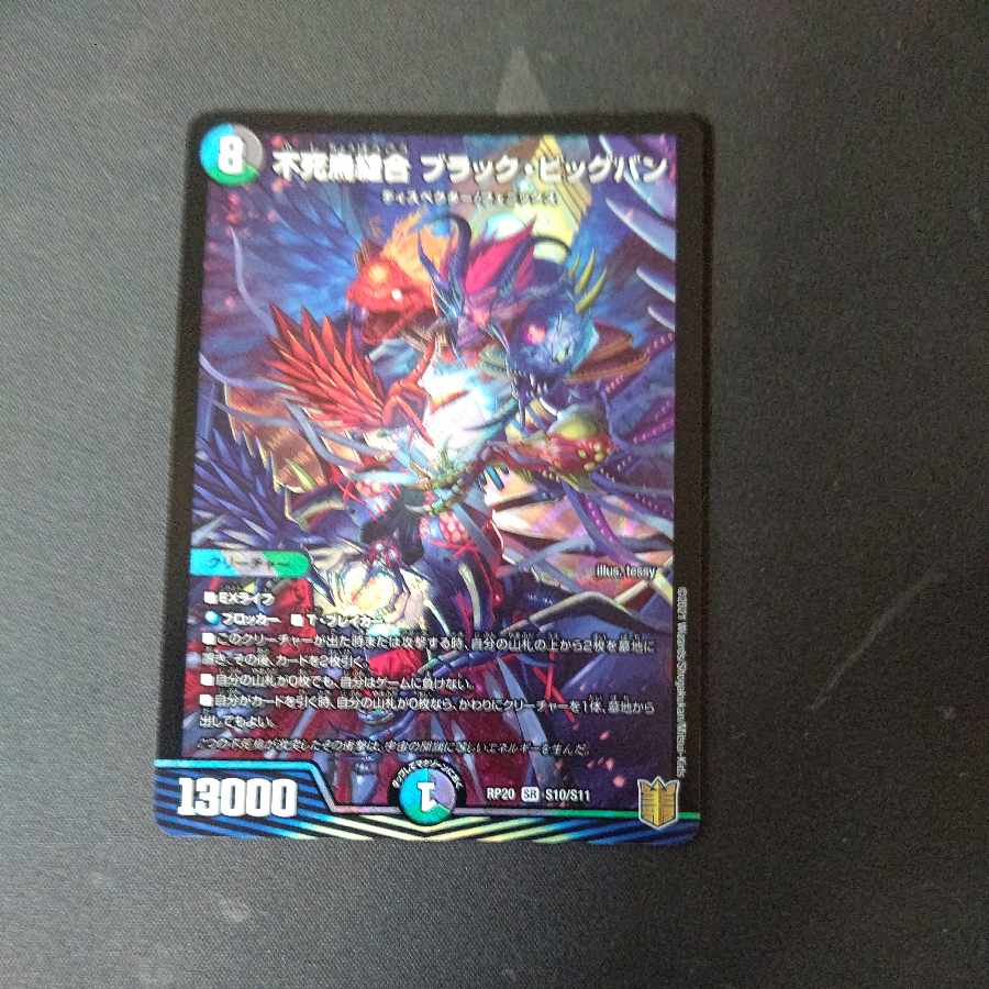 不死鳥縫合 ブラック・ビッグバン SR S10/S11の通販 ペテルシ （464187994） | magi