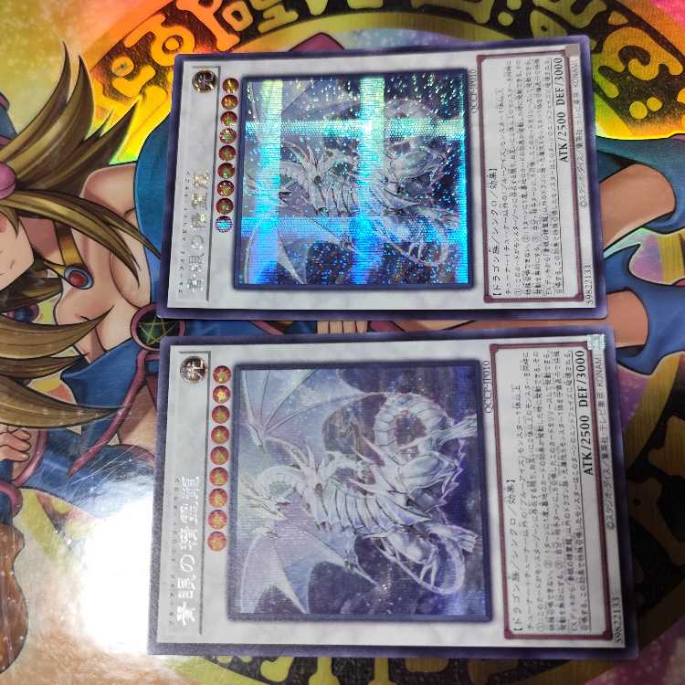 青眼の精霊龍 シークレットレア QCCP-JP010 2枚セットの通販 タナカ(購入時はプロフをご確認ください（761678334） | magi