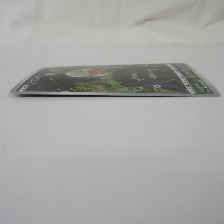 ポケモンカード ナエトル AR 206/172 S12a 【M0005】の通販 万代書店前橋店（1752744869） | magi