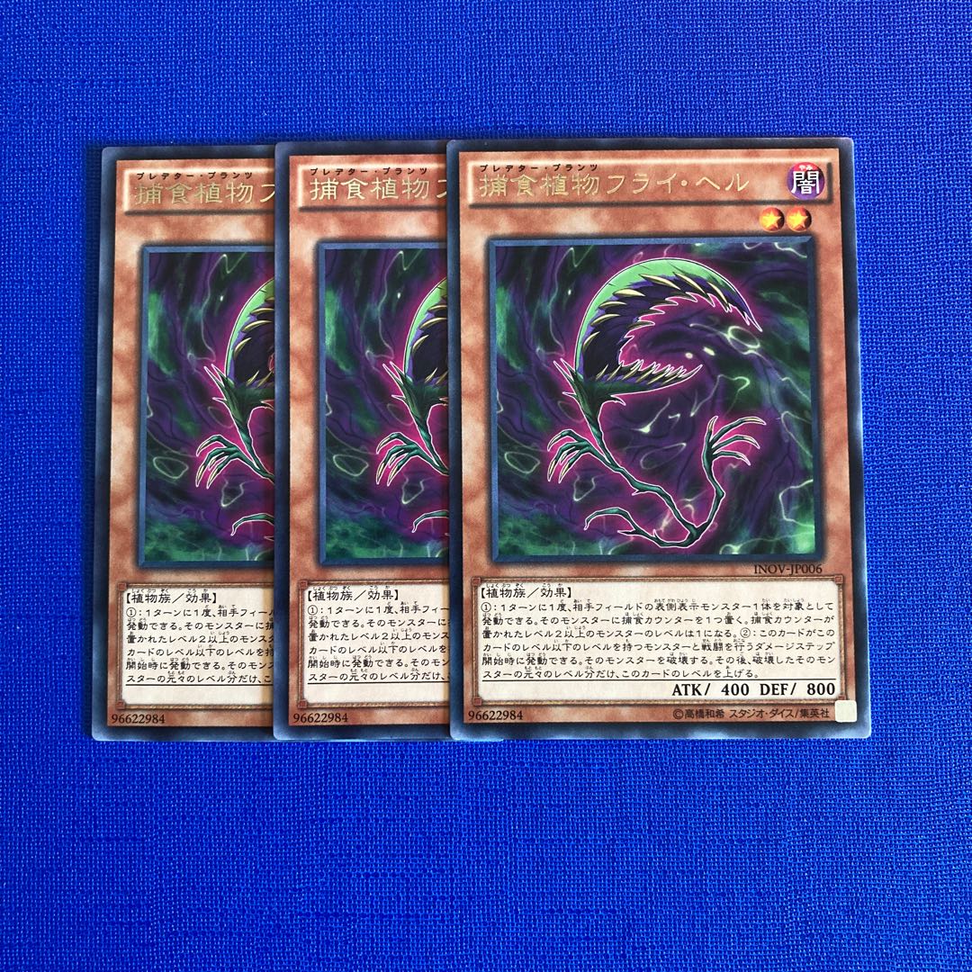 捕食植物フライ・ヘル レア JP006の通販 爺ちゃん（789790492） | magi