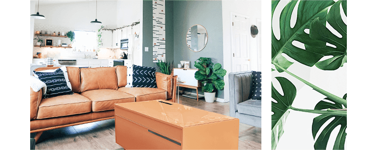 【2024年】ステルス家電で優雅な日常を演出！インテリアに溶け込む最新の先端技… | 家電BOX /カデンボックス/kadenbox