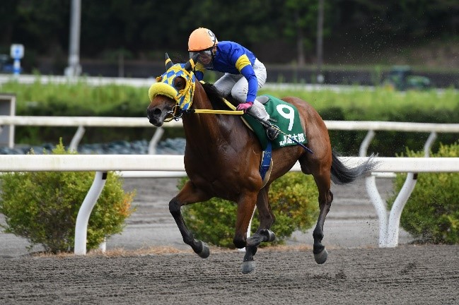 【NAR】2021ヤングジョッキーズシリーズ(YJS) トライアルラウンド高知の結果:お知らせ&ニュース:楽天競馬