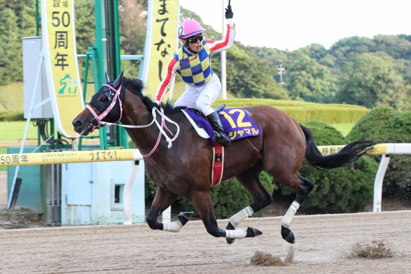 【佐賀】サマーチャンピオンJpnIII結果について:お知らせ&ニュース:楽天競馬