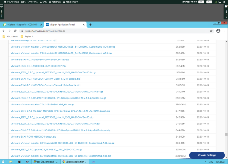 【VMware Hands on Labで検証シリーズ】VMware HOL上でNested ESXiを起動する | Lab8010