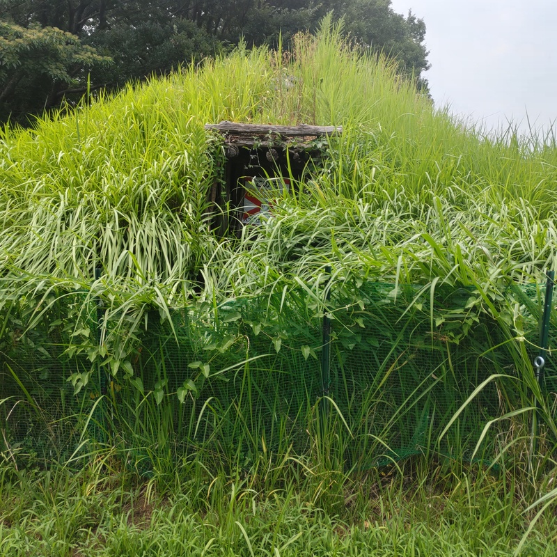 竪穴住居(3号) - Monumento