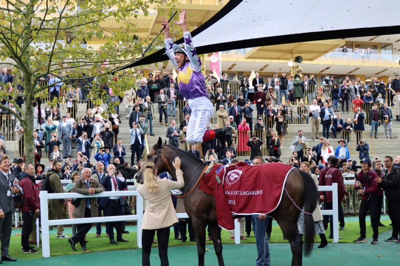 橋本樹理の凱旋門賞取材記 Vol.2 | Pacalla（パカラ）