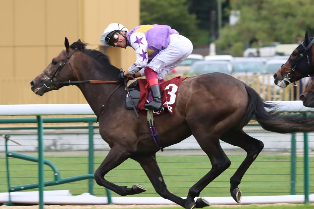 橋本樹理の凱旋門賞取材記 Vol.2 | Pacalla（パカラ）