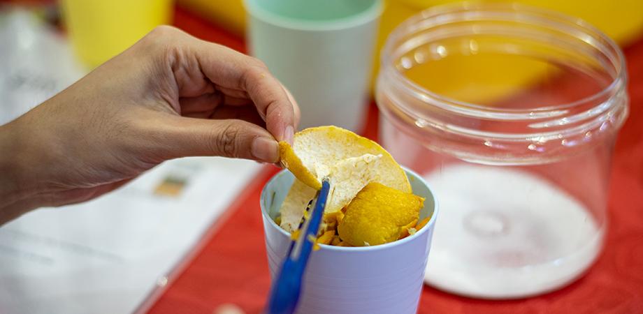 Workshop: Upcycling Food Waste with Eco-Enzyme by ZeroWaste Food Singapore | Peatix