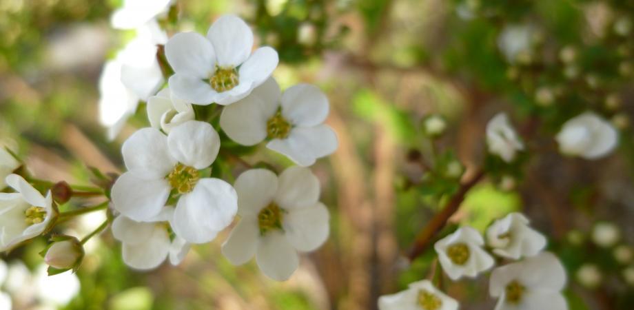 オンライン 看護管理者研修 看護補助者の活用と成長支援 Vol.28 | Peatix