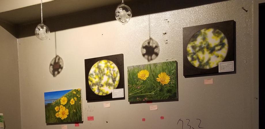 Bloom Studio ZOOM Party vol8 | Peatix