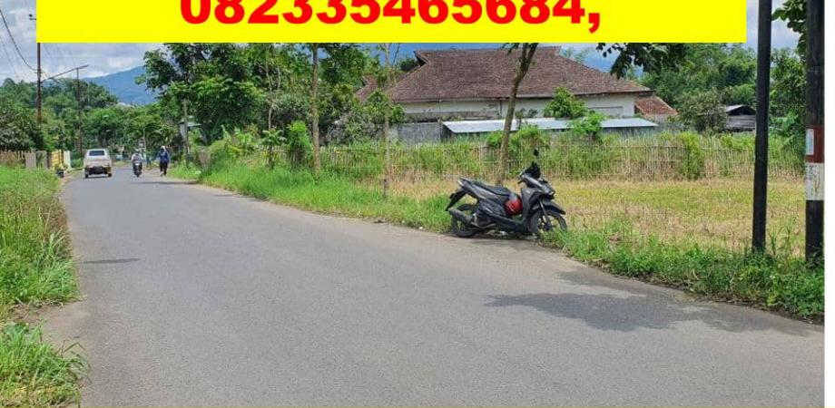 Jual Tanah Kebun Malang #155 | Peatix